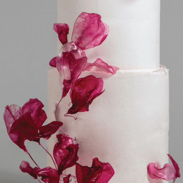 fondant Raspberry Layer Cake - dla-naturals