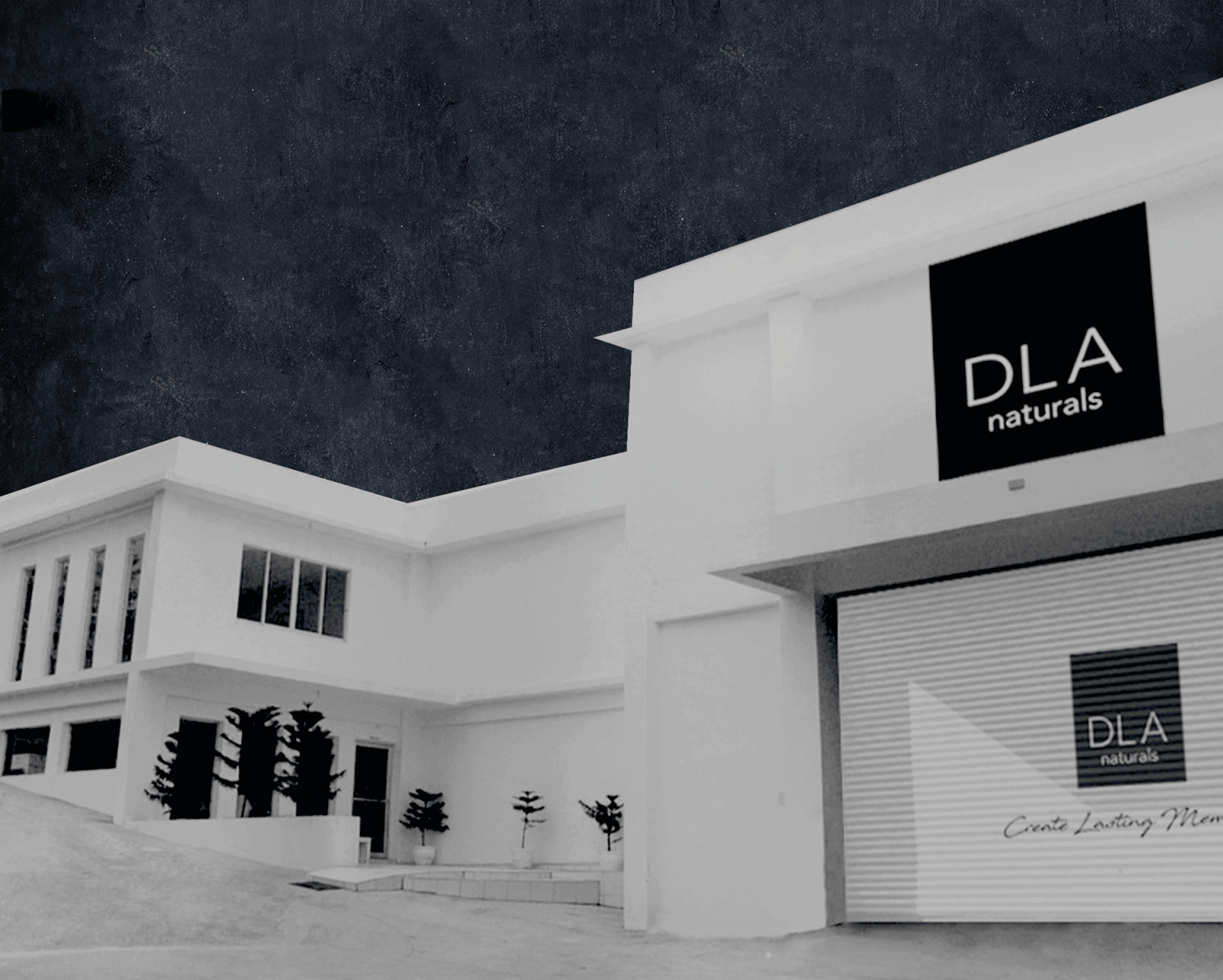 History - dla-naturals